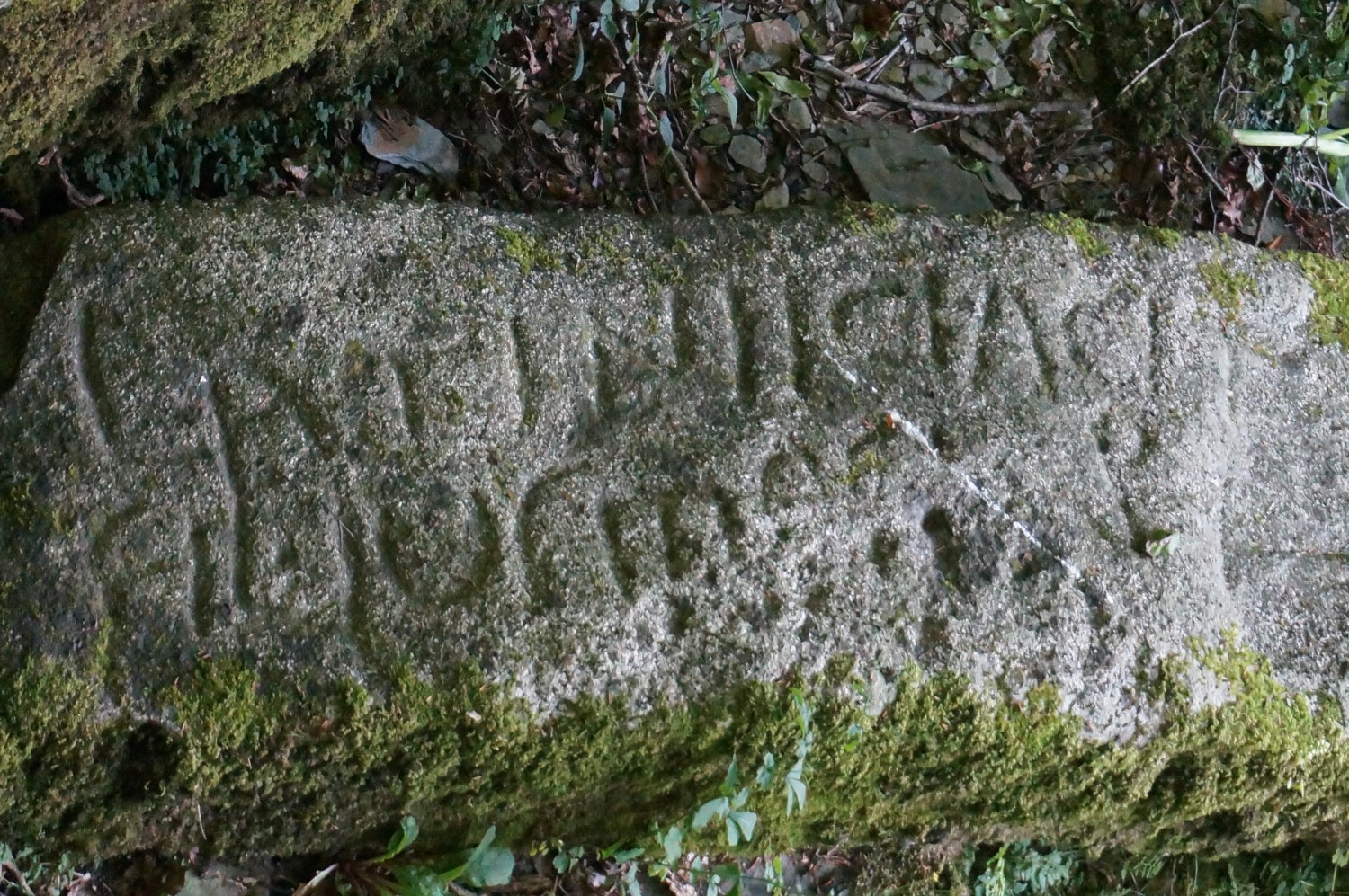 Things To See - Days out in Cornwall - The Vale Of Avalon